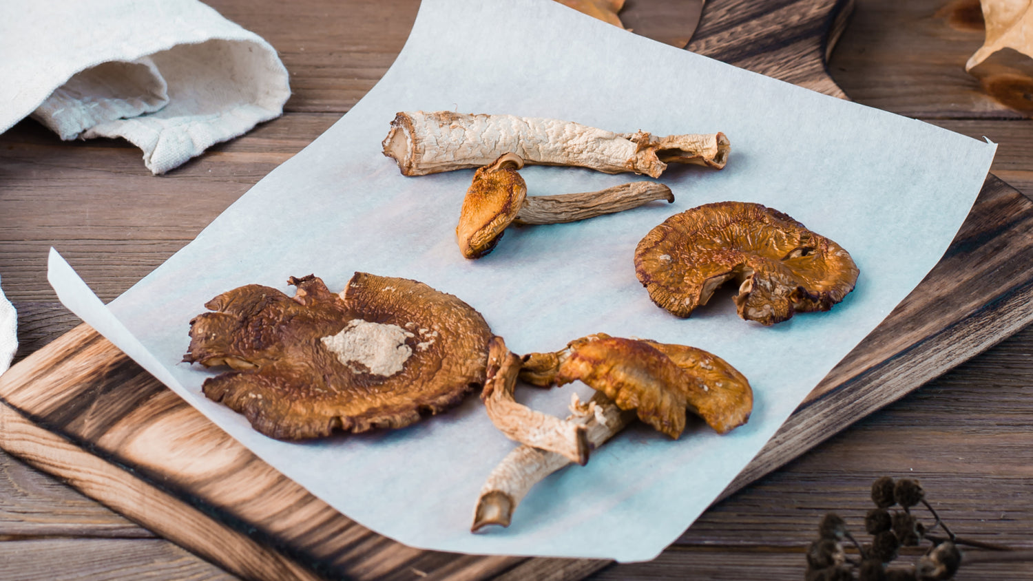 Health Benefits of Amanita Muscaria | Mush Mouth